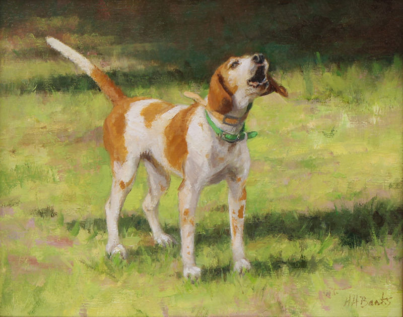 Animal Paintings – Holly Hope Banks